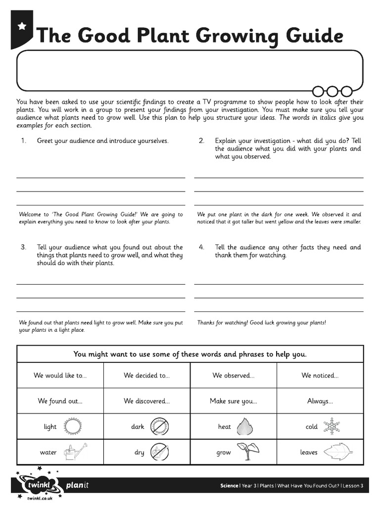 Activity Sheet The Good Plant Growing Guide | PDF