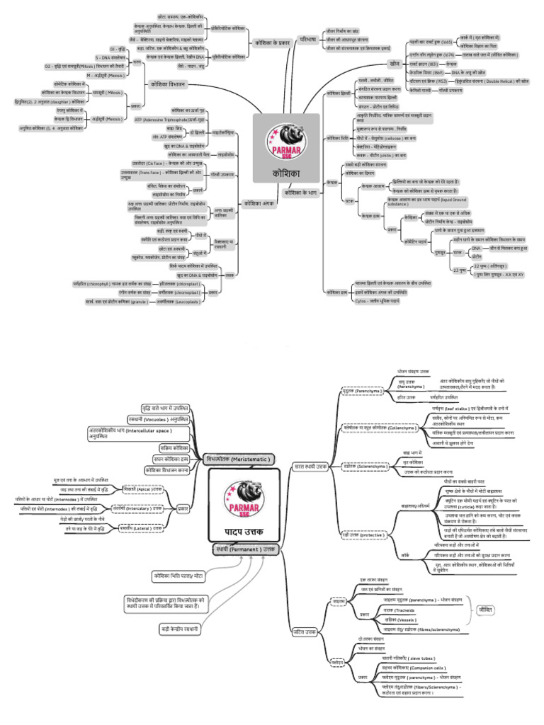 Biology Mindmap by Parmar SSC Hindi Medium | PDF
