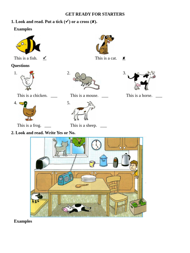 Animal Identification Activity | PDF