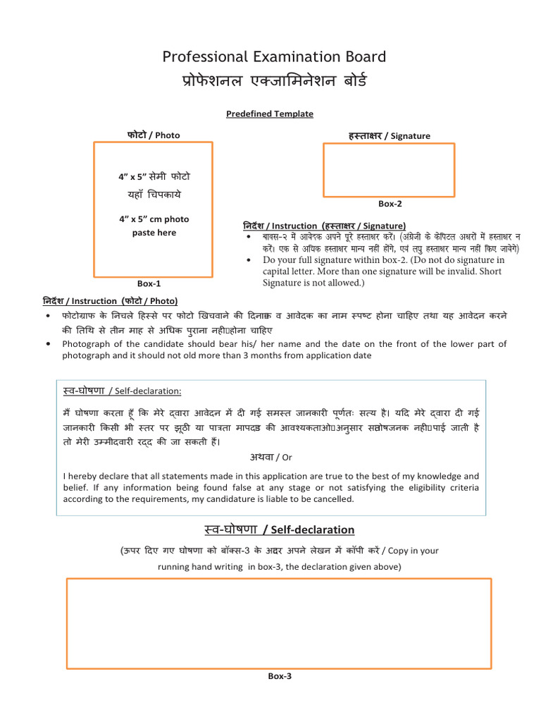 ESB Madhya Pradesh Professional Examination Board Template | PDF