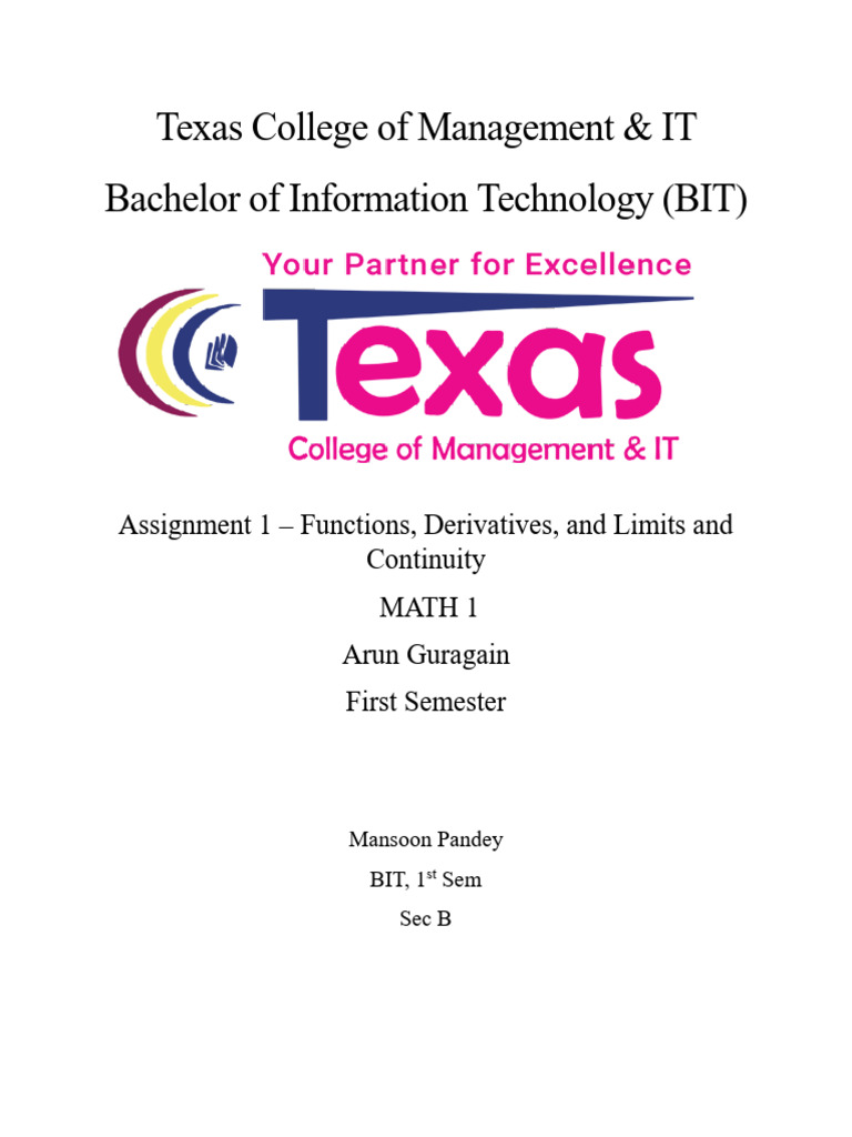Functions and Derivatives Assignment BIT | PDF