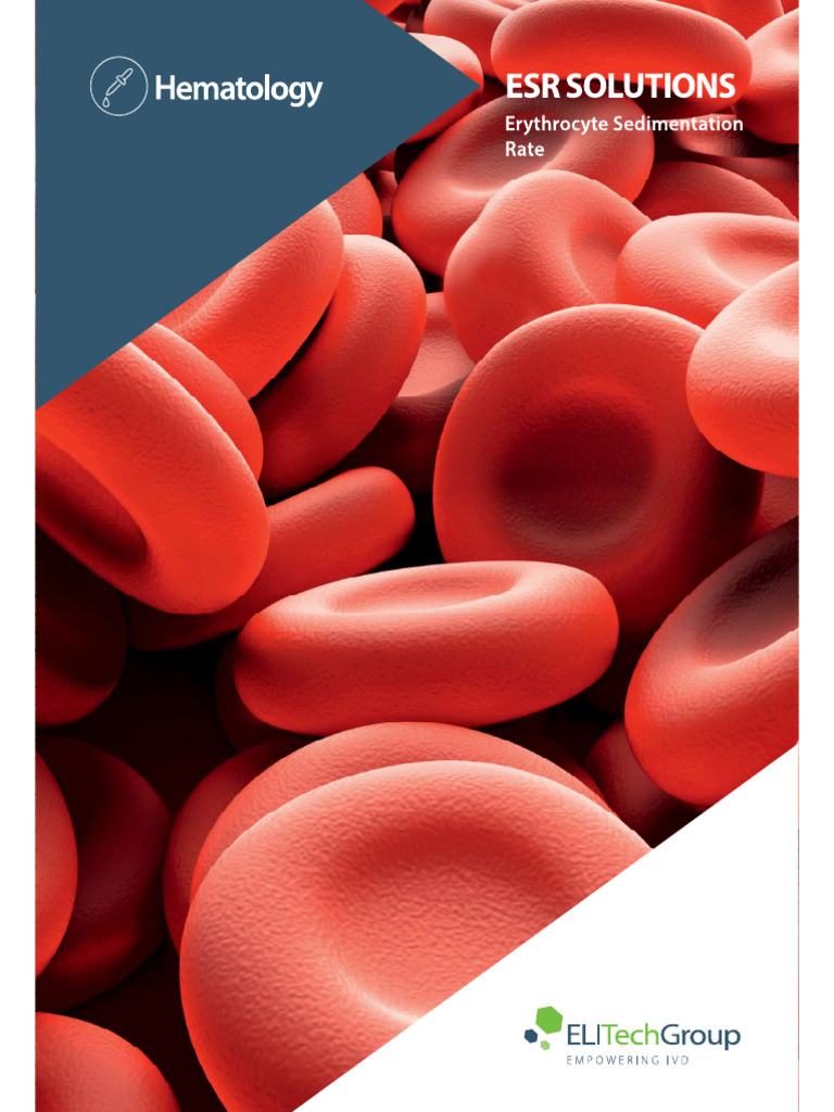 Microsed System Analyzer | PDF