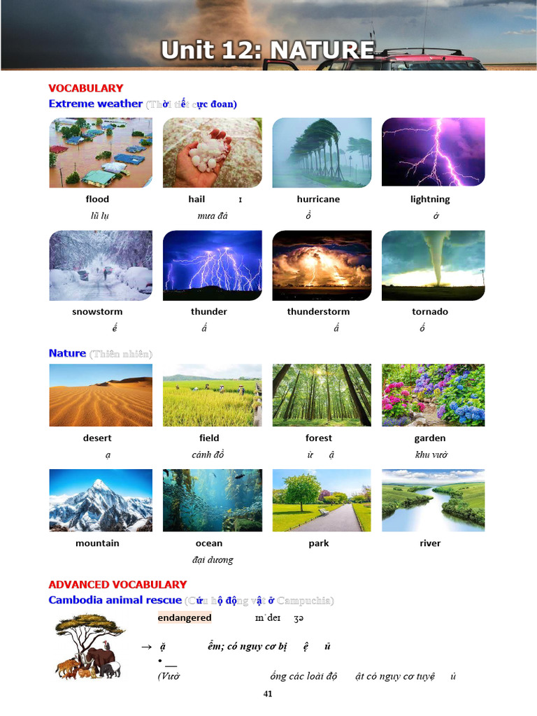 (G I SV) 2024. AV3 - Unit 12 | PDF