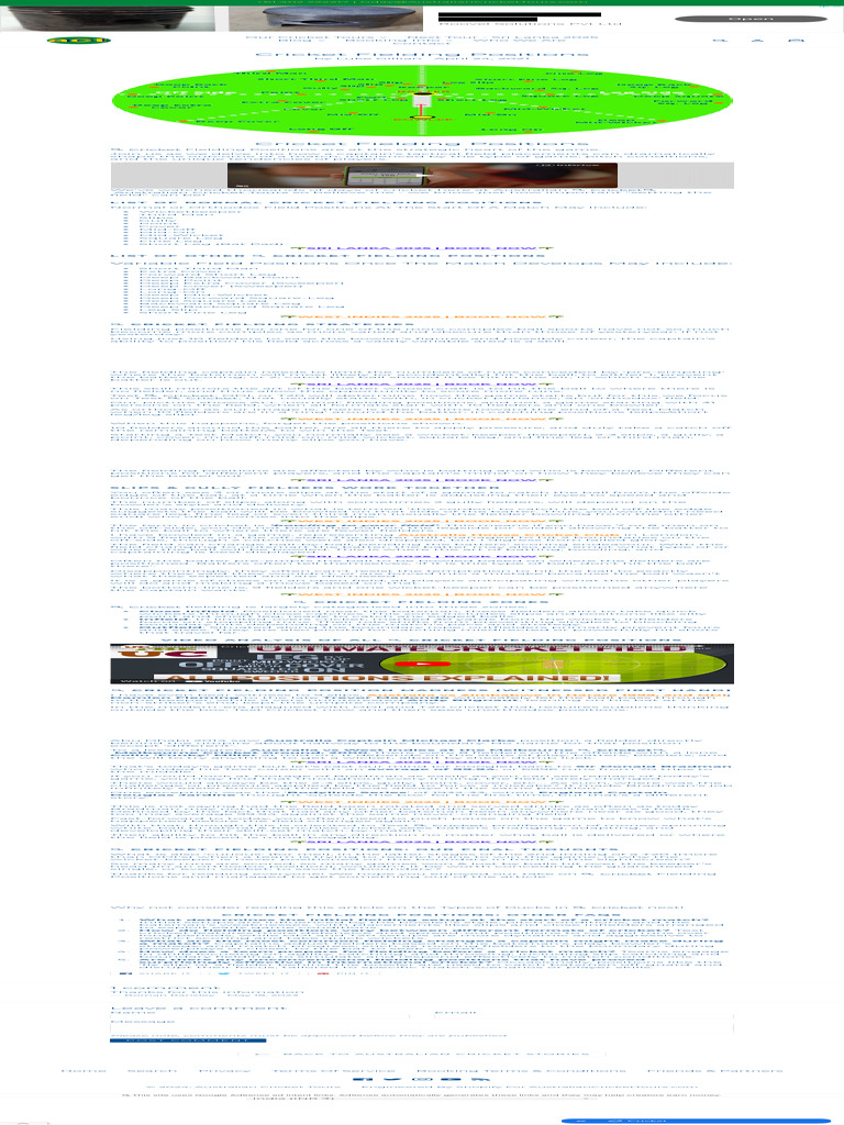 Cricket Fielding Positions Explained | PDF | Cricket | Athletic Sports