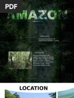 Charts and Graphs About The Amazon Rainforest | PDF | Amazon Rainforest | Deforestation