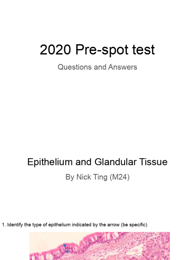 2020 Pre-spot test | PDF | Bone | Autonomic Nervous System