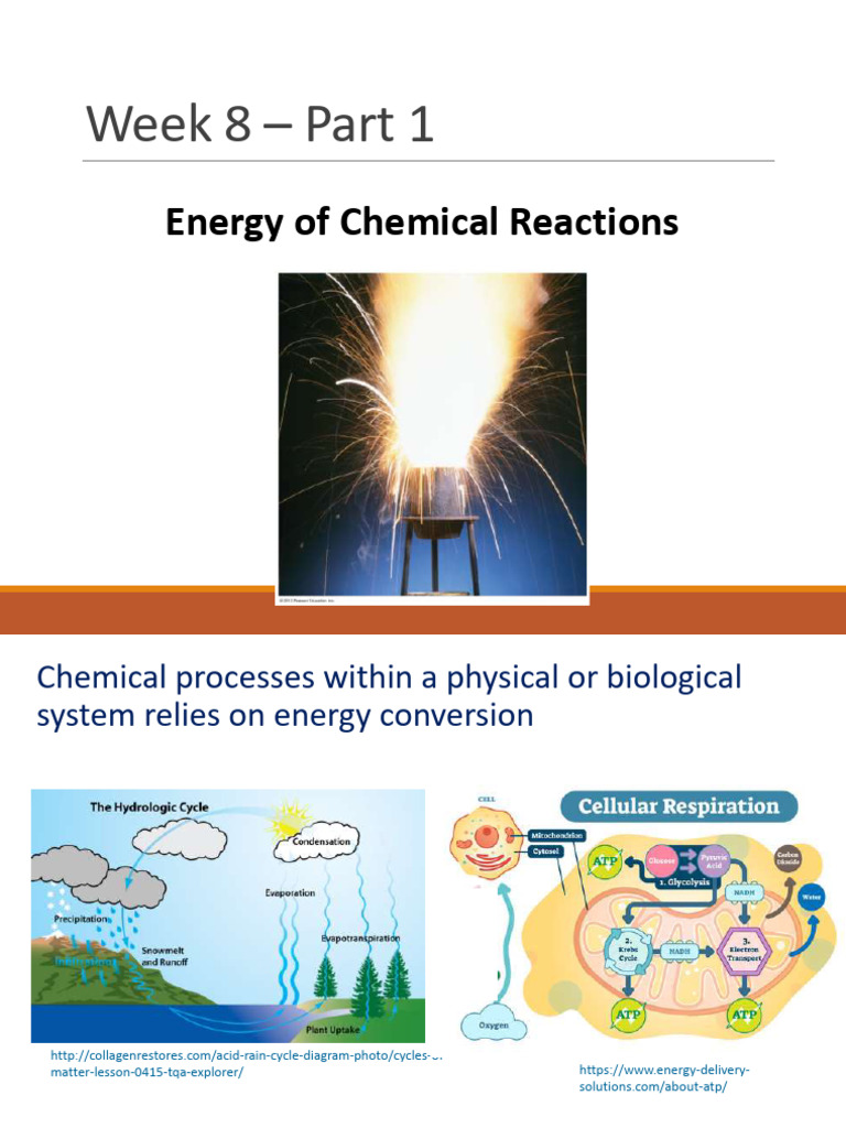 Week 8 Energy and Chem Reactions | PDF | Activation Energy | Reaction Rate