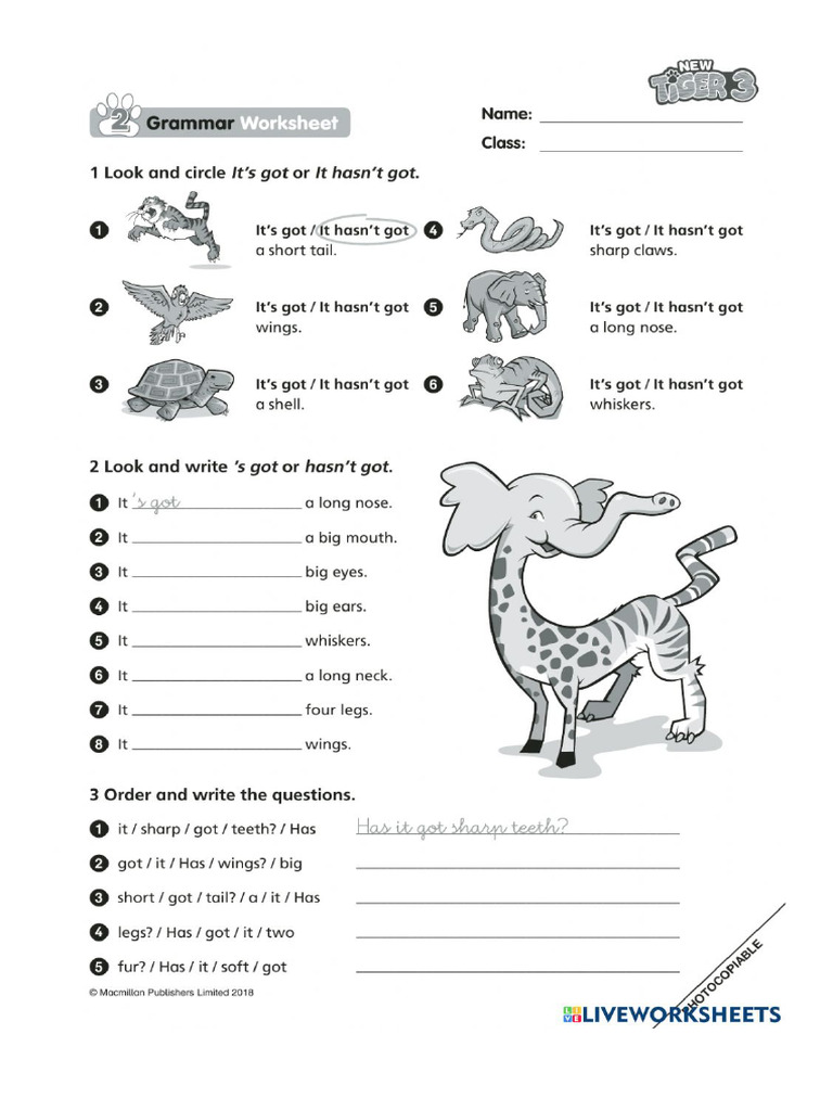 Tiger 3 Unit 2 Revision | PDF