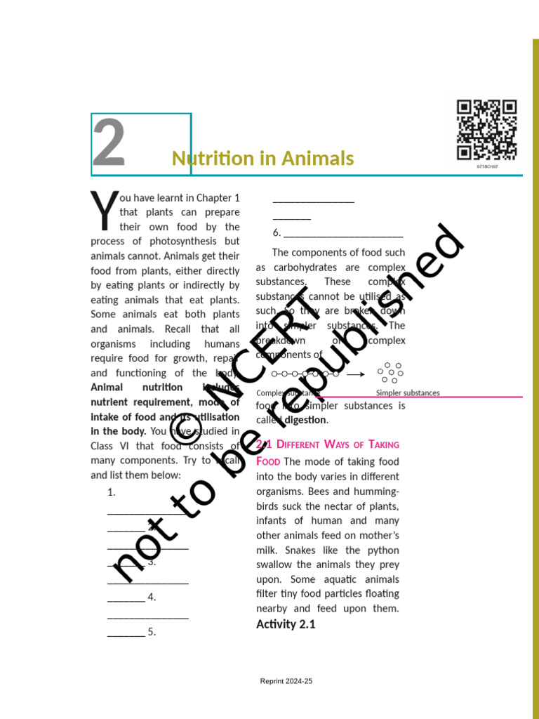 Nutrition in Animals | PDF | Digestion | Ruminant