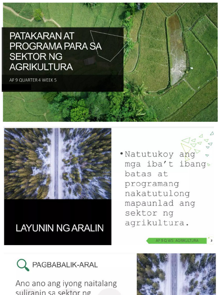 Patakaran at Programa para Sa Sektor NG Agrikultura | PDF