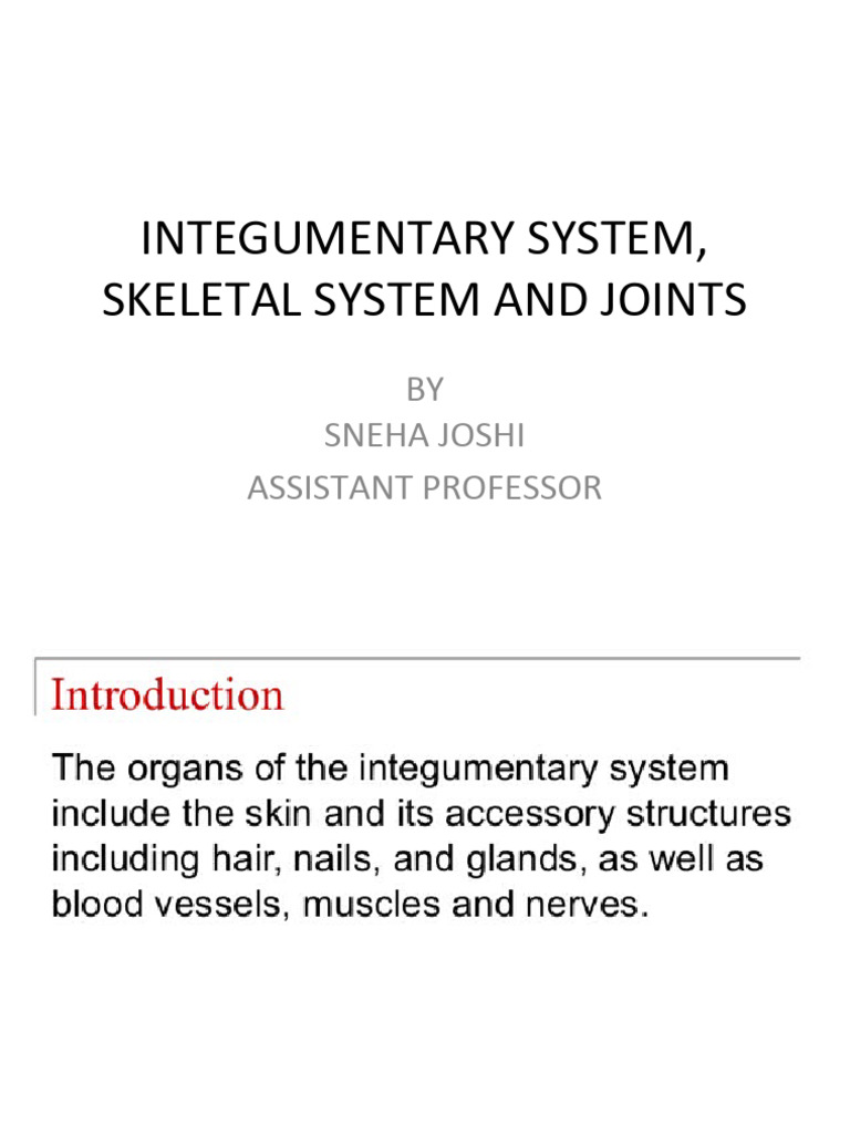Integumentary and Skeletal Systems Overview | PDF
