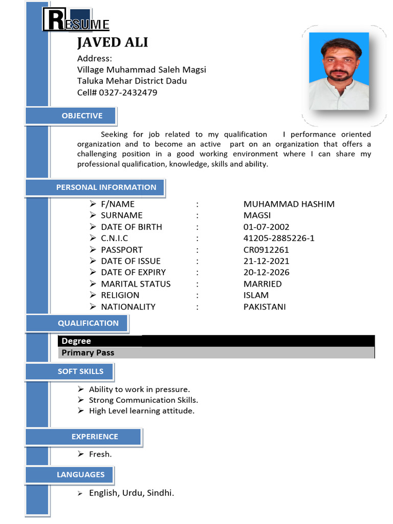 javed ali cv pdf | PDF