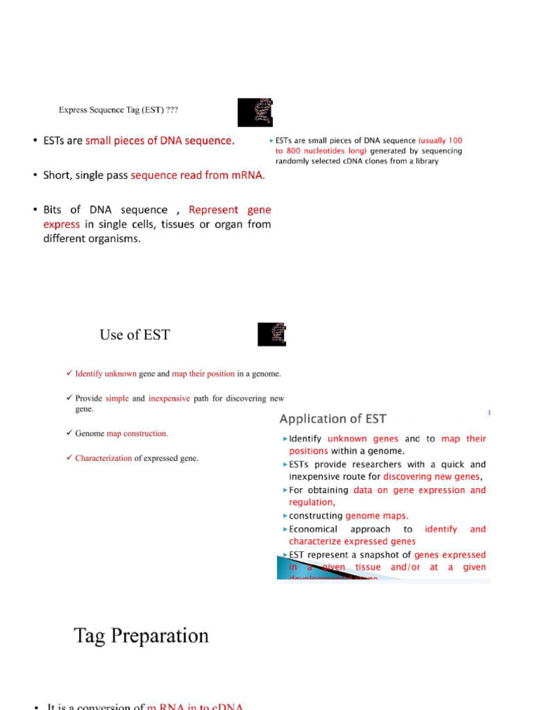 Class EST | PDF