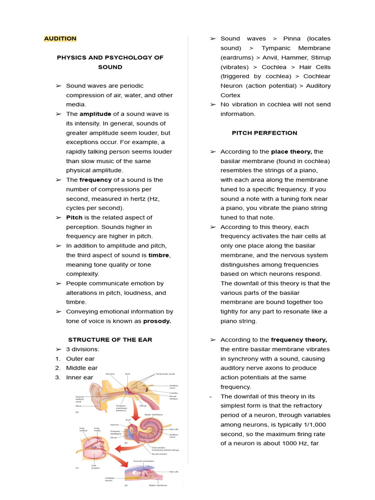 Chapter 6 - Other Sensory System (Audition) | PDF | Pitch (Music ...