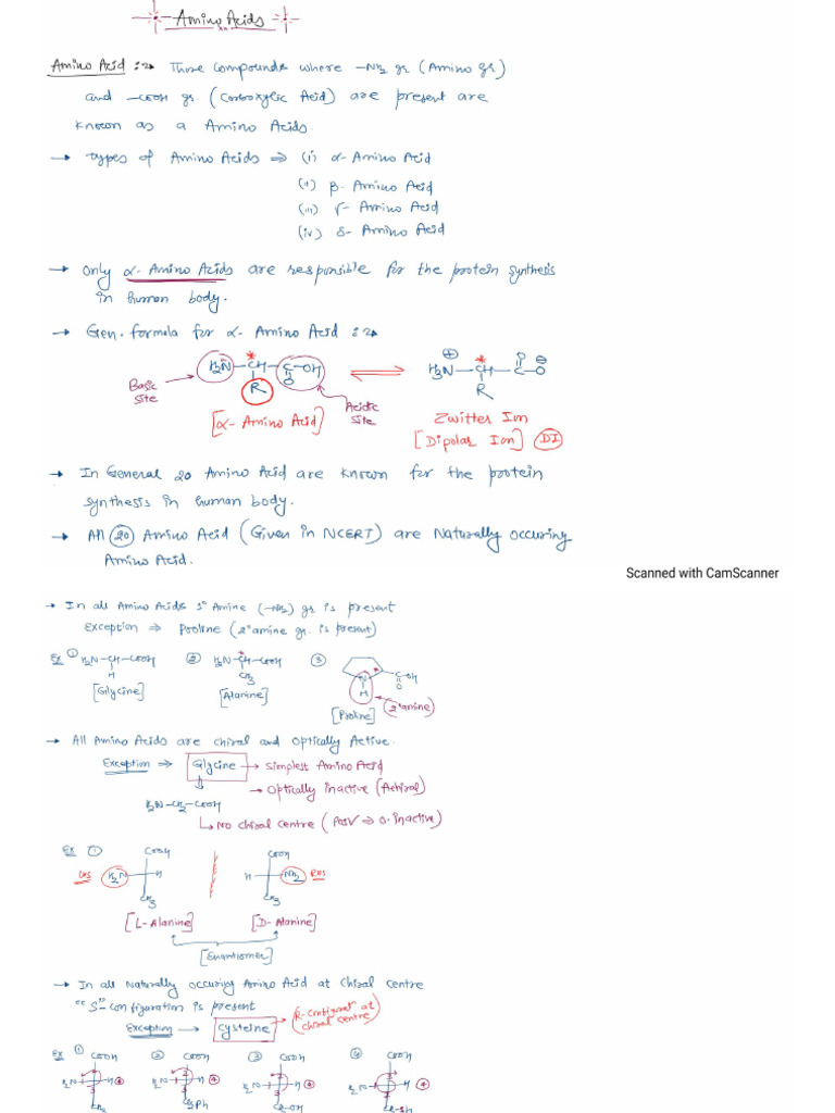 Biomolecules Part-II | PDF