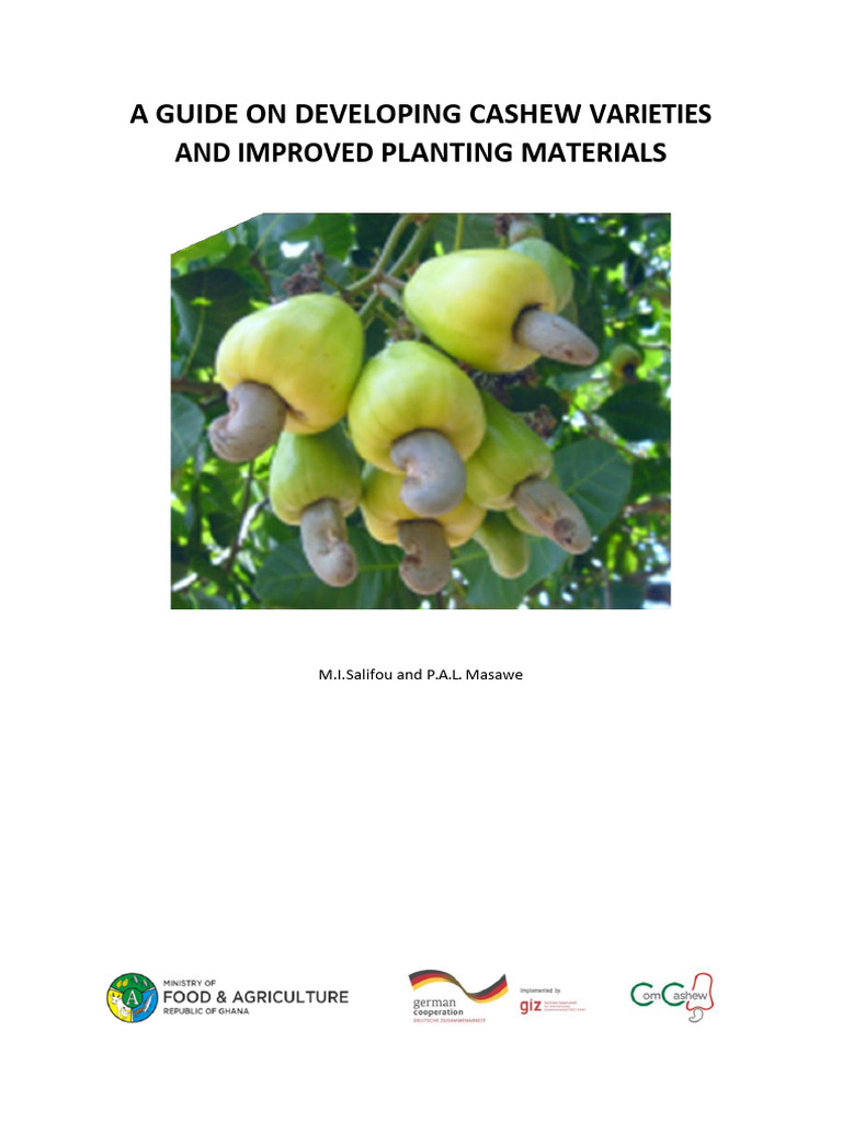 Developing Improved Cashew Varieties | PDF | Plant Nursery | Flowers