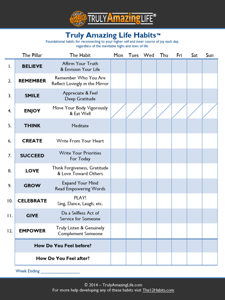 Truly Amazing Life Habits | PDF