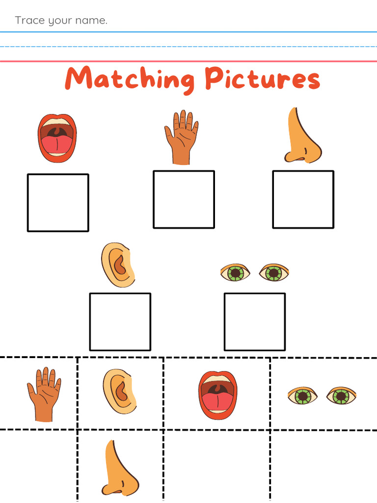 Matching Body Parts Worksheet | PDF