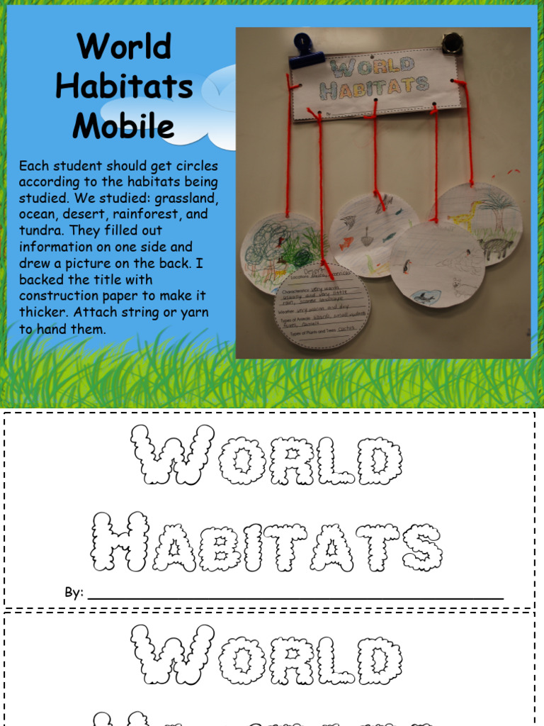World Habitats Study Guide | PDF