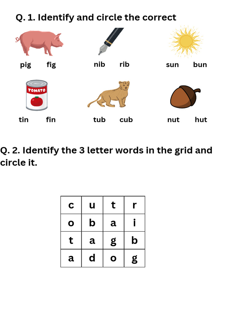 3-Letter Word Identification Exercise | PDF