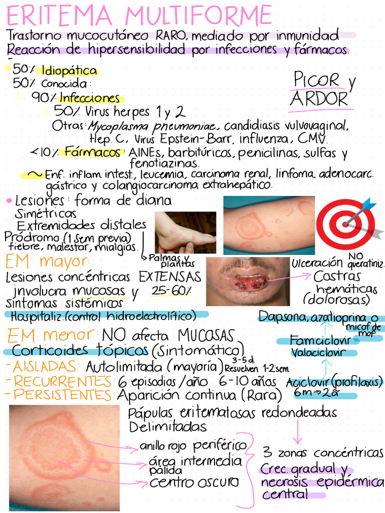 Eritema Multiforme | PDF