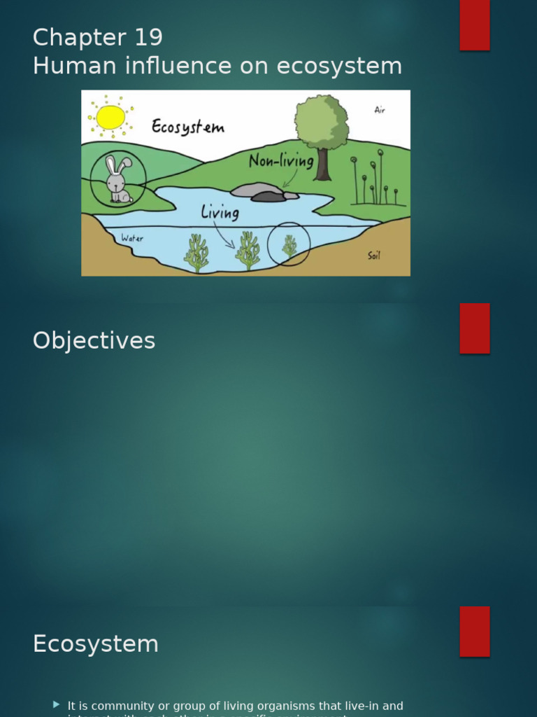 Human Influence On Ecosystem 1 | PDF