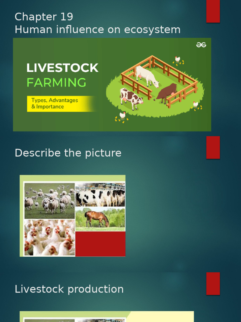 Human Influence On Ecosystem 2 Pdf Agriculture Eutrophication