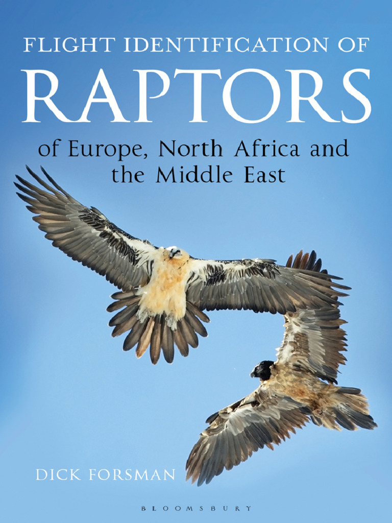Flight Identification of Raptors of Europe North Africa | PDF | Bird ...