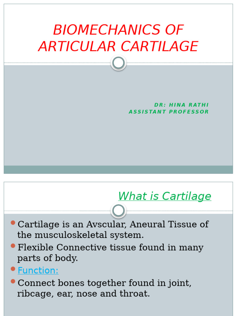 Biomechanics of Articular Cartilage | PDF | Cartilage | Joint