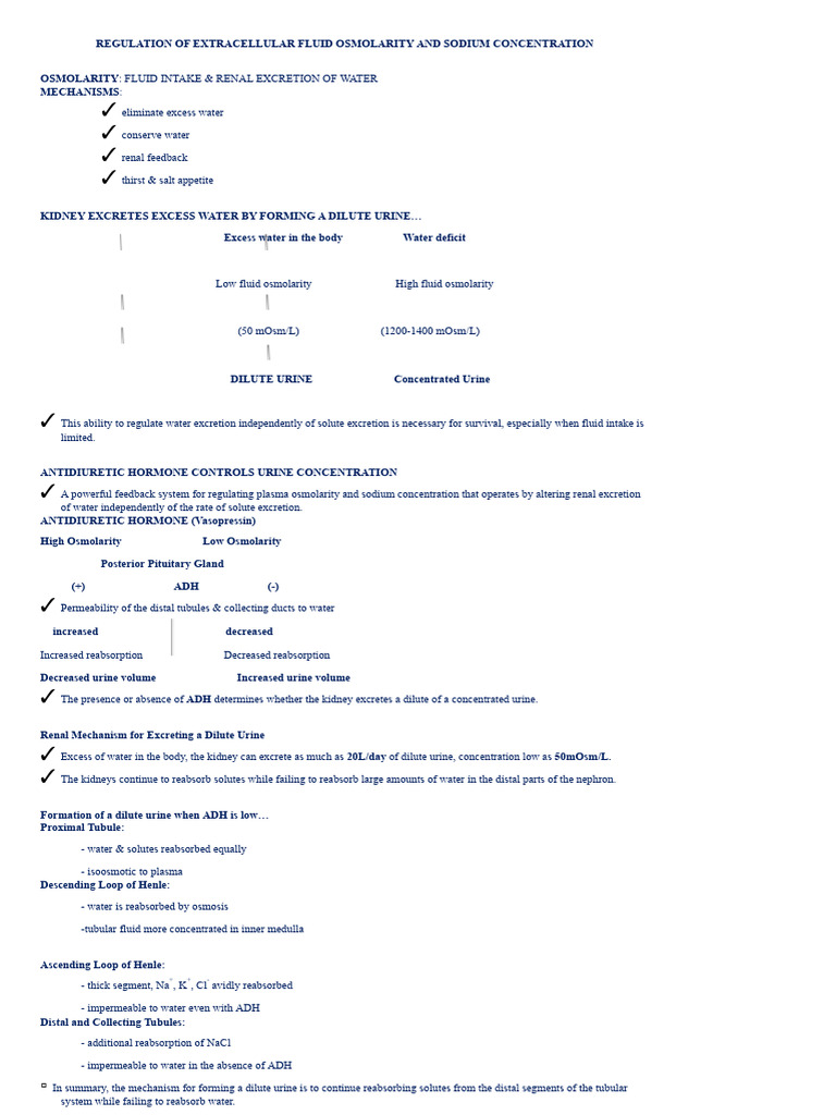 Regulation of Fluid Osmolarity | PDF | Kidney | Organ (Anatomy)