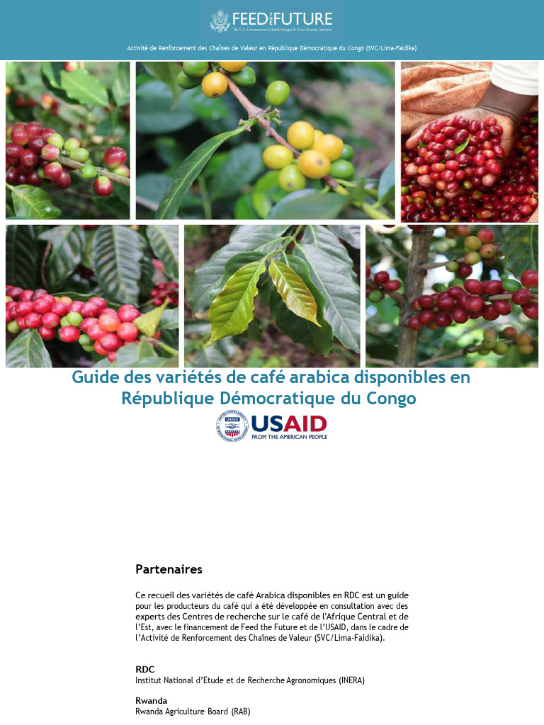 Guide des variétés de café en RDC | PDF | Café | Hybride (Biologie)