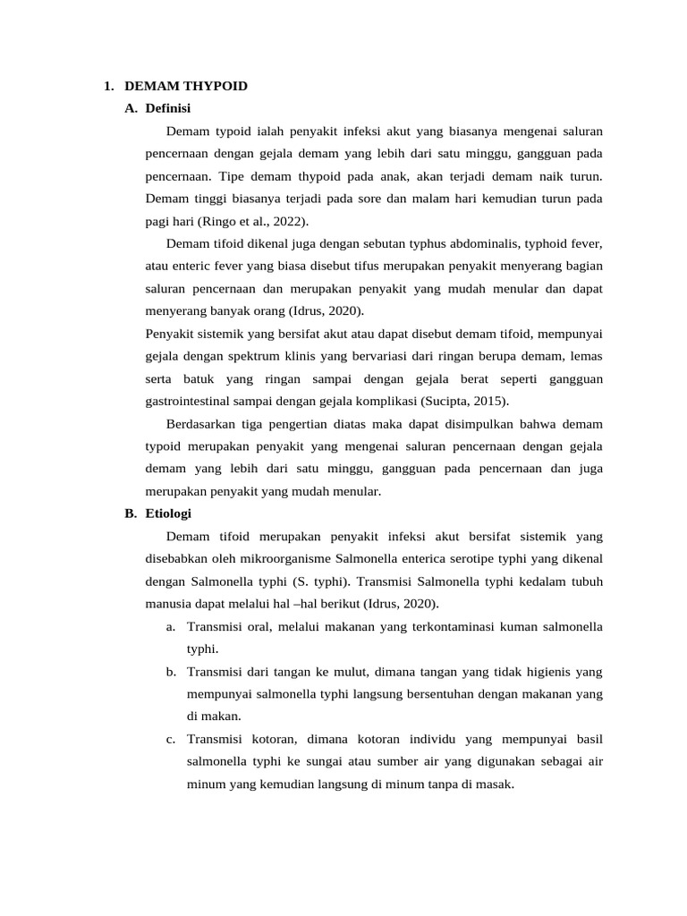 LP Demam Thypoid 2 | PDF