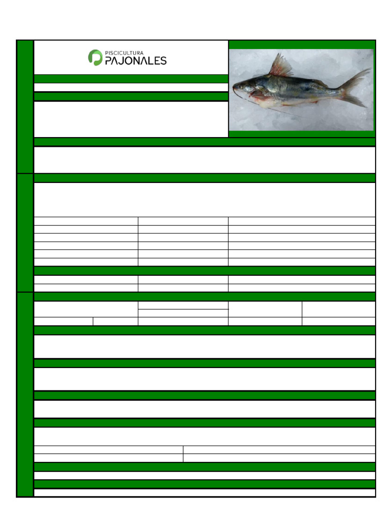 Ficha Tecnica Nicuro | PDF | Carne | Alimentos