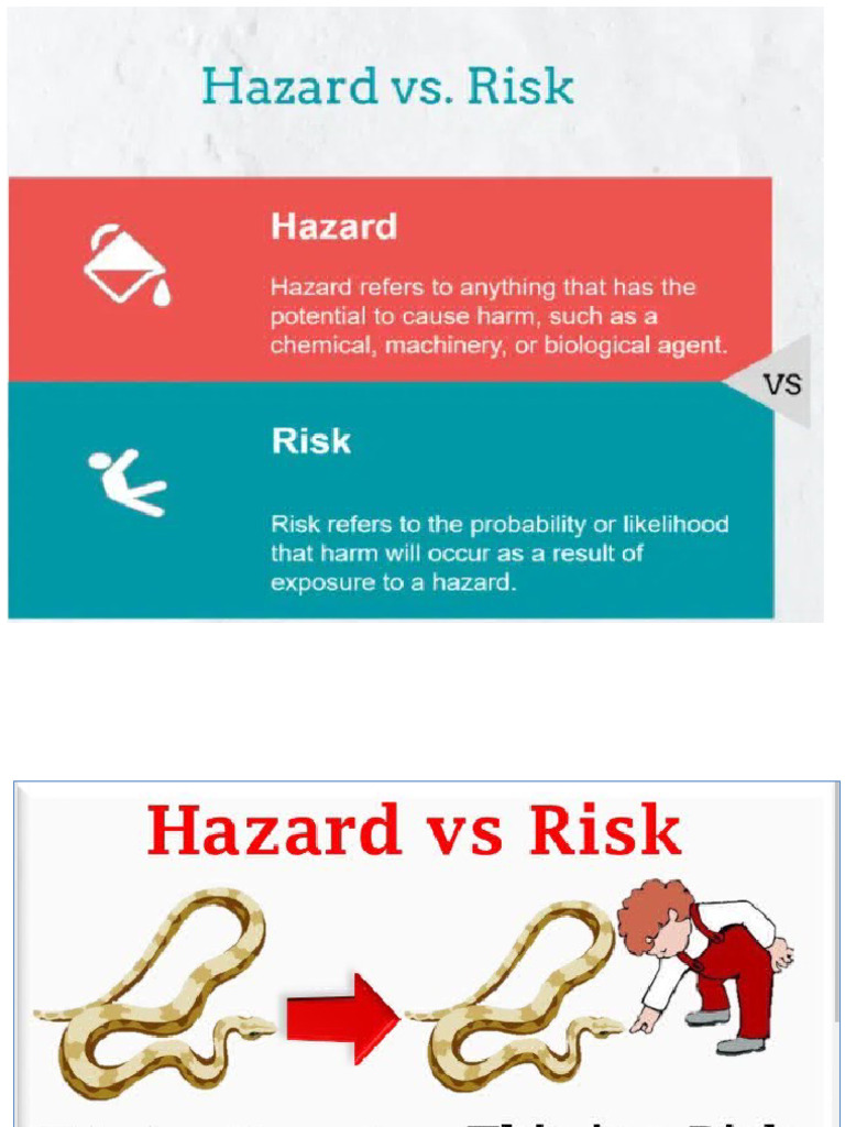 Hazard Vs Risk | PDF