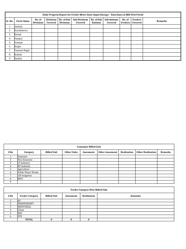 Daily Progress Report - Circle Level | PDF