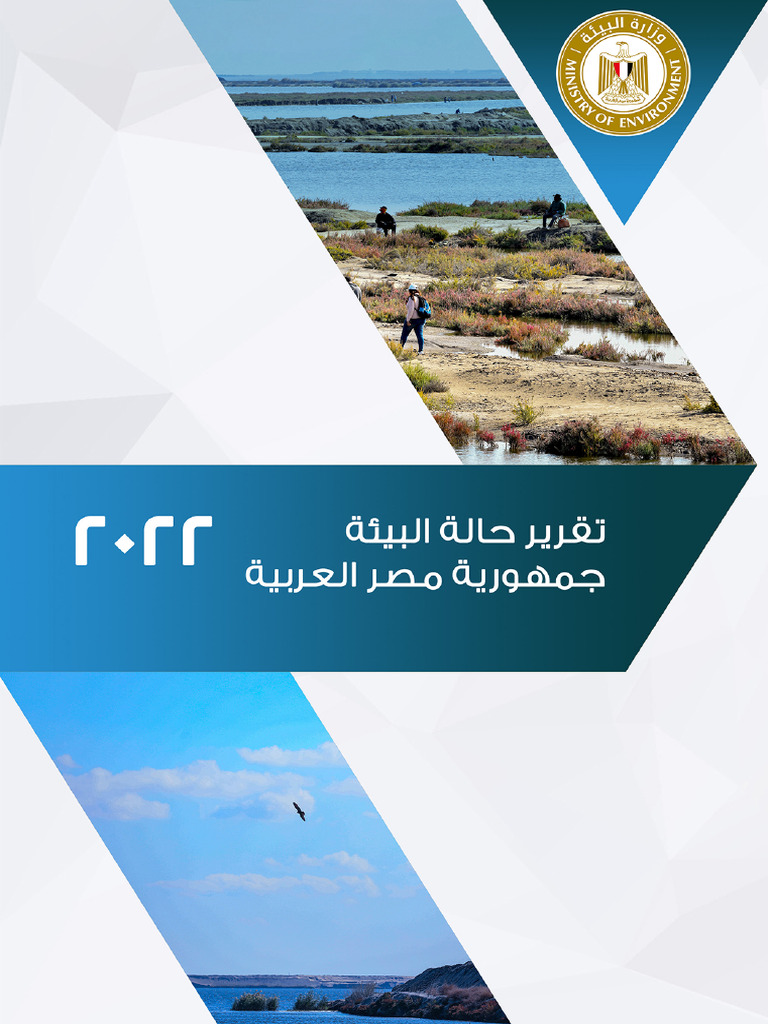 The Arabic Report | PDF