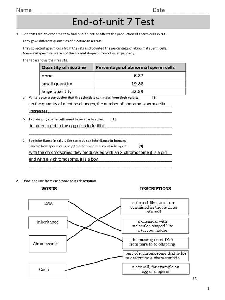 Take - Home Assignment (Science) | PDF | Zygosity | Dna