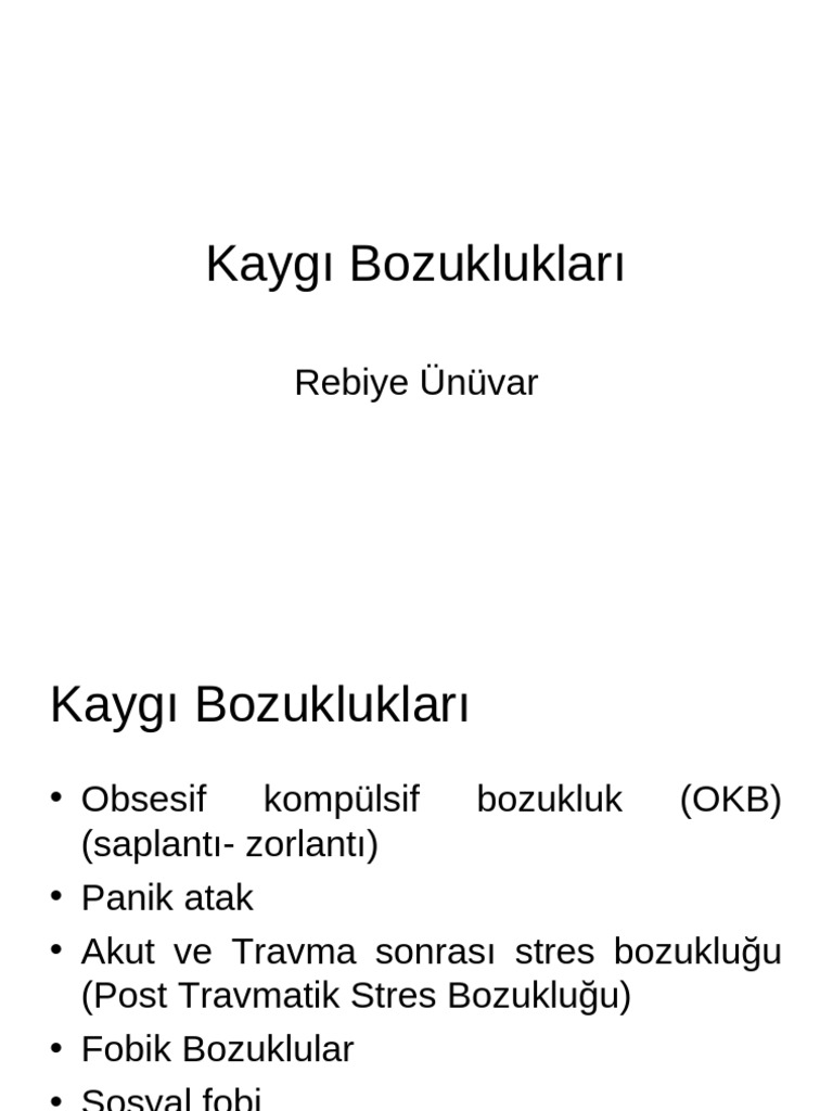 Kaygi Boz | PDF