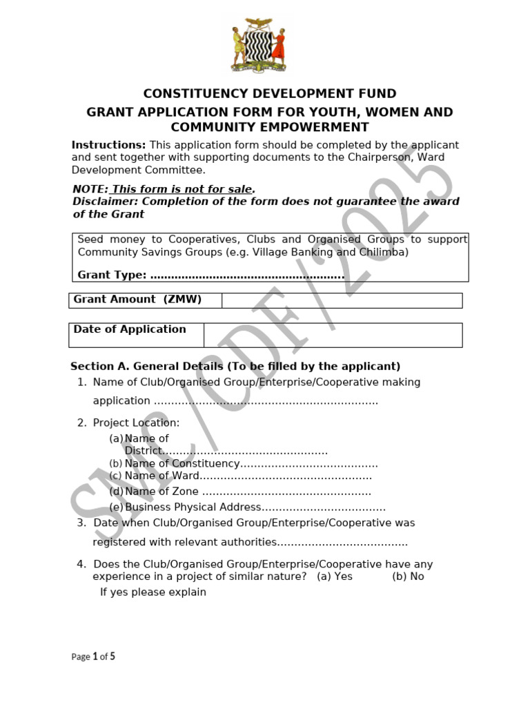 CDF 2025 Grant Application Form | PDF