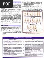 Vaulting Gait | PDF