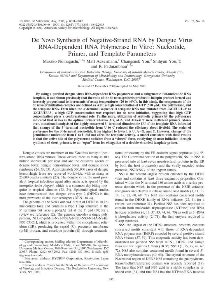 De Novo Synthesis of Negative Strand RNA by Dengue Virus RDRP in Vitro ...