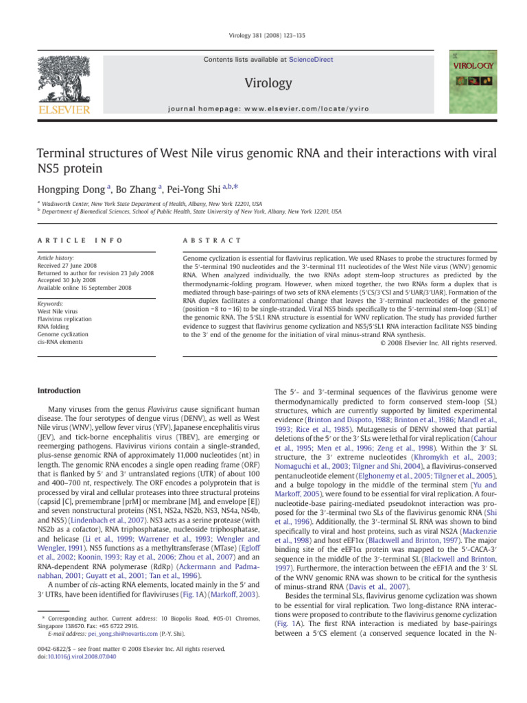 Terminal Structures of WNV Genomic RNA and Their Interactions With Viral NS5 Protein | PDF ...