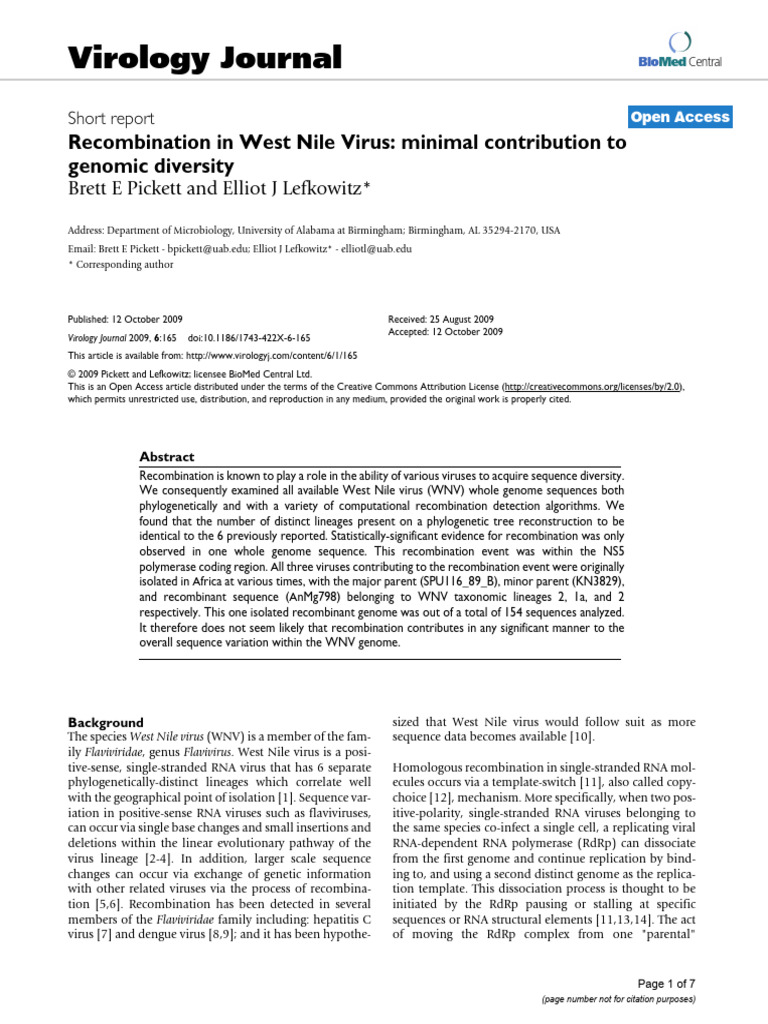 Recombination in WNV Minimal Contribution To Genomic Diversity | PDF | Genetic Recombination | Virus