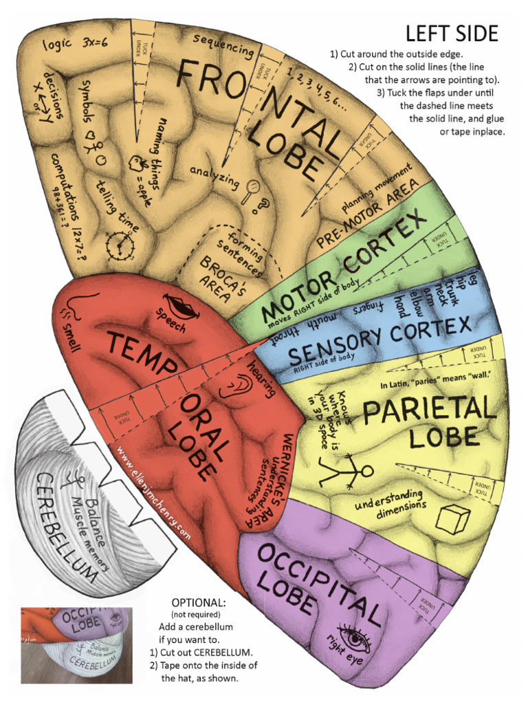 Brain Hat 2.0 Download 3 4 | PDF