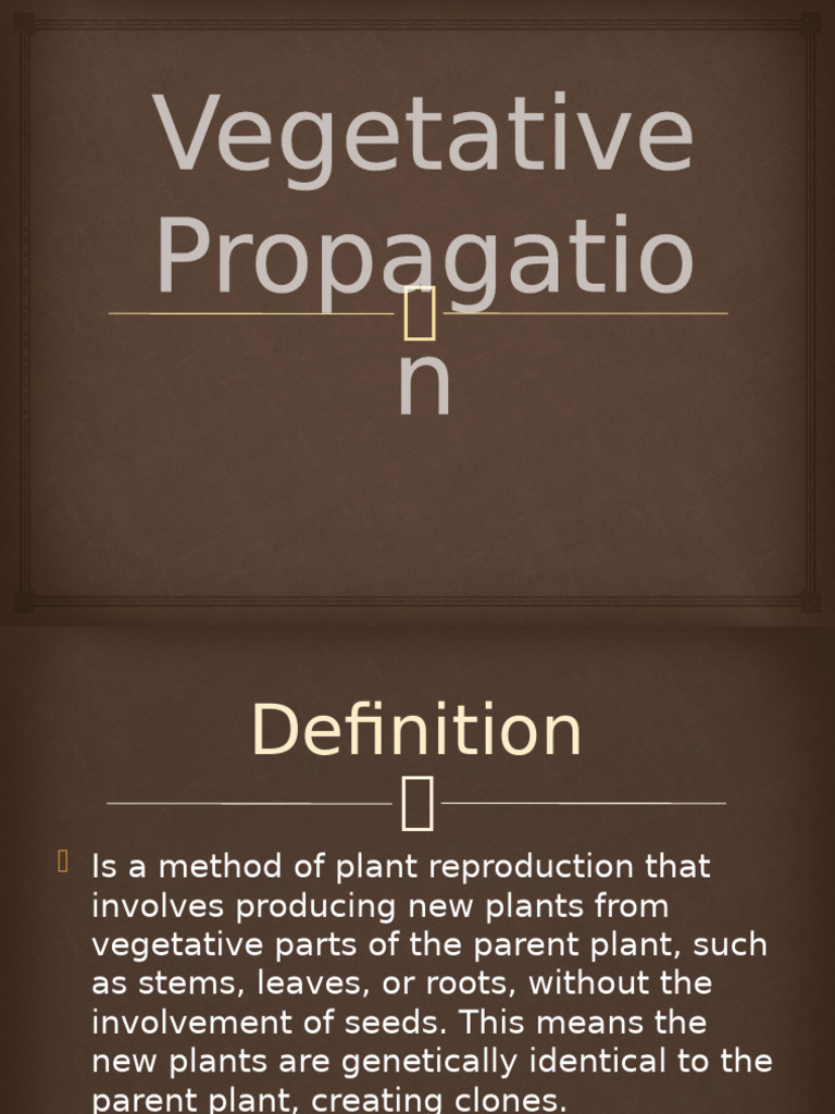 Vegetative Propagation | PDF