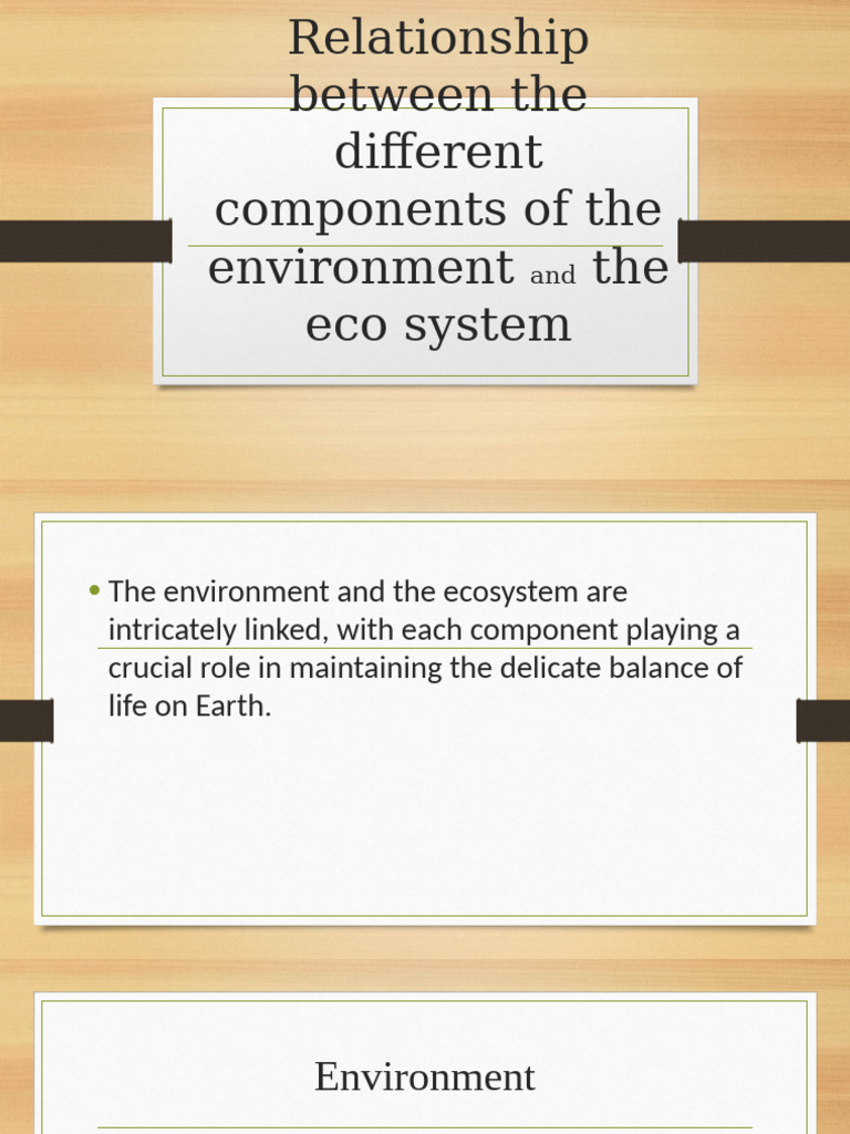 Environment and Ecosystem Dynamics | PDF | Ecosystem | Natural Environment