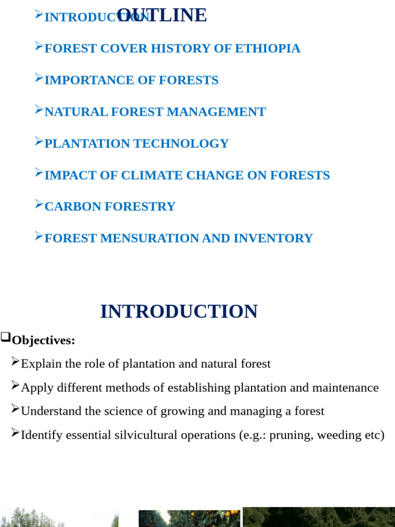 Introduction To Forestry | PDF | Seed | Forests