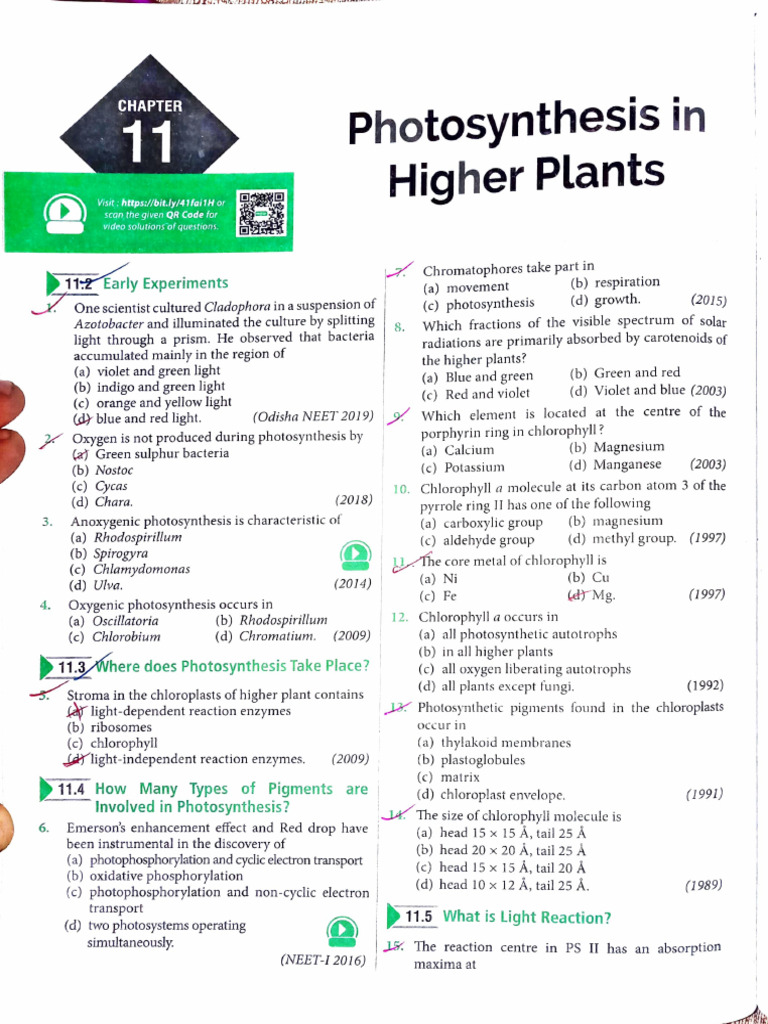 Photosynthesis in Higher Plants Explained | PDF | Photosynthesis ...