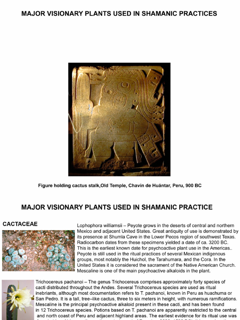 Visionary Plants | PDF