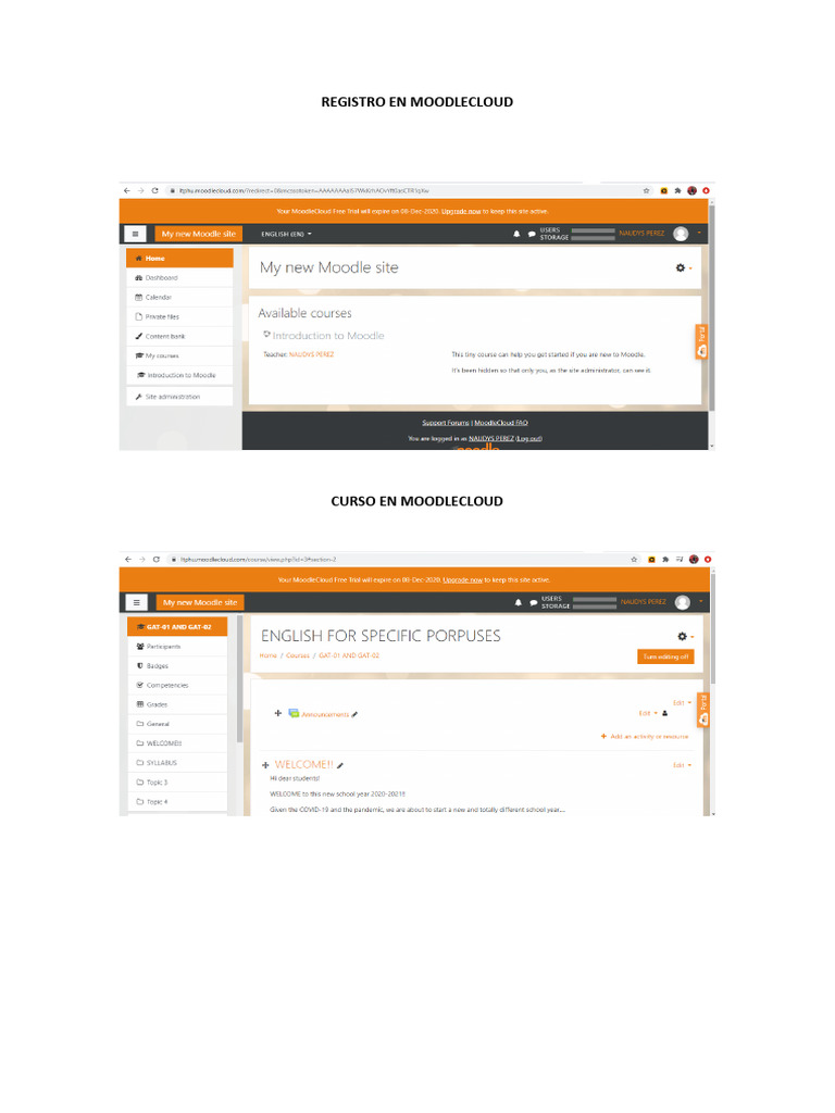 Capturas de Pantalla | PDF